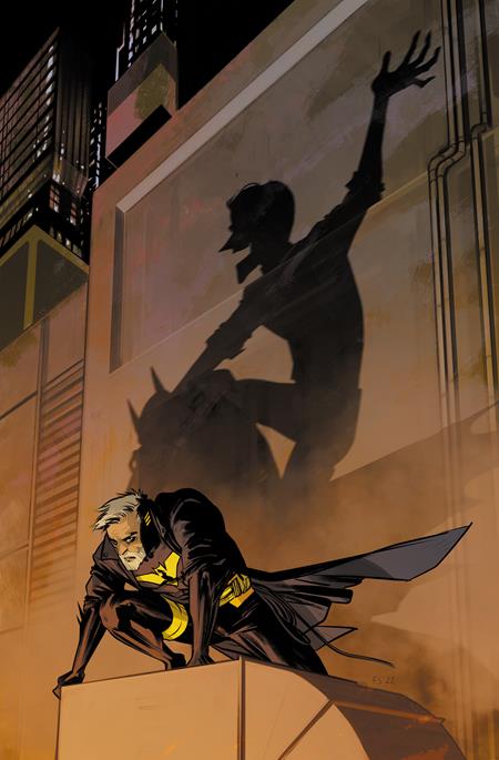 BATMAN BEYOND THE WHITE KNIGHT #6 (OF 8) CVR B FIONA STAPLES VAR (MR ...