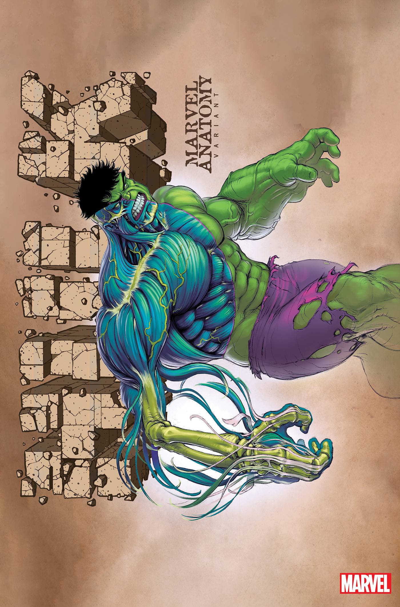 HULK #11 MARVEL ANATOMY LOBE VAR 🐧🧐🤮 – Economics In Comics